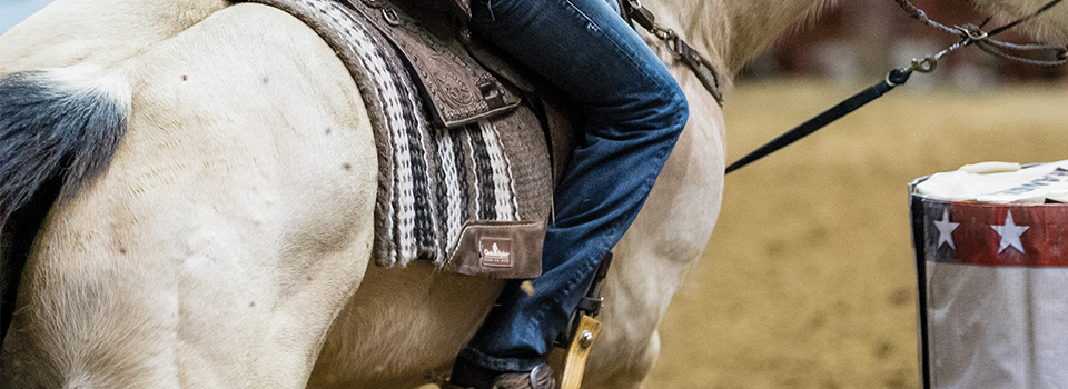 Rodeogo.com | Welcome