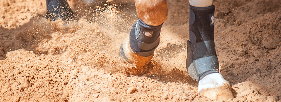 Rodeogo.com | Welcome