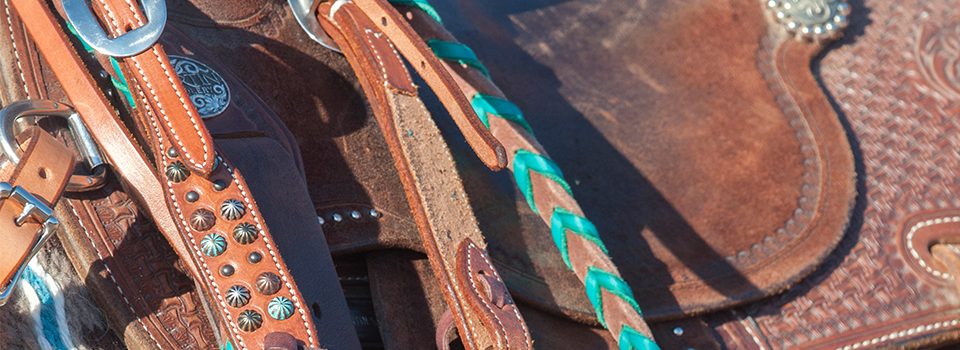 Rodeogo.com | Welcome