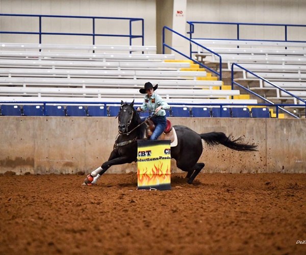 Rodeogo.com | Welcome