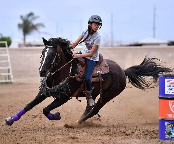 Rodeogo.com | Welcome